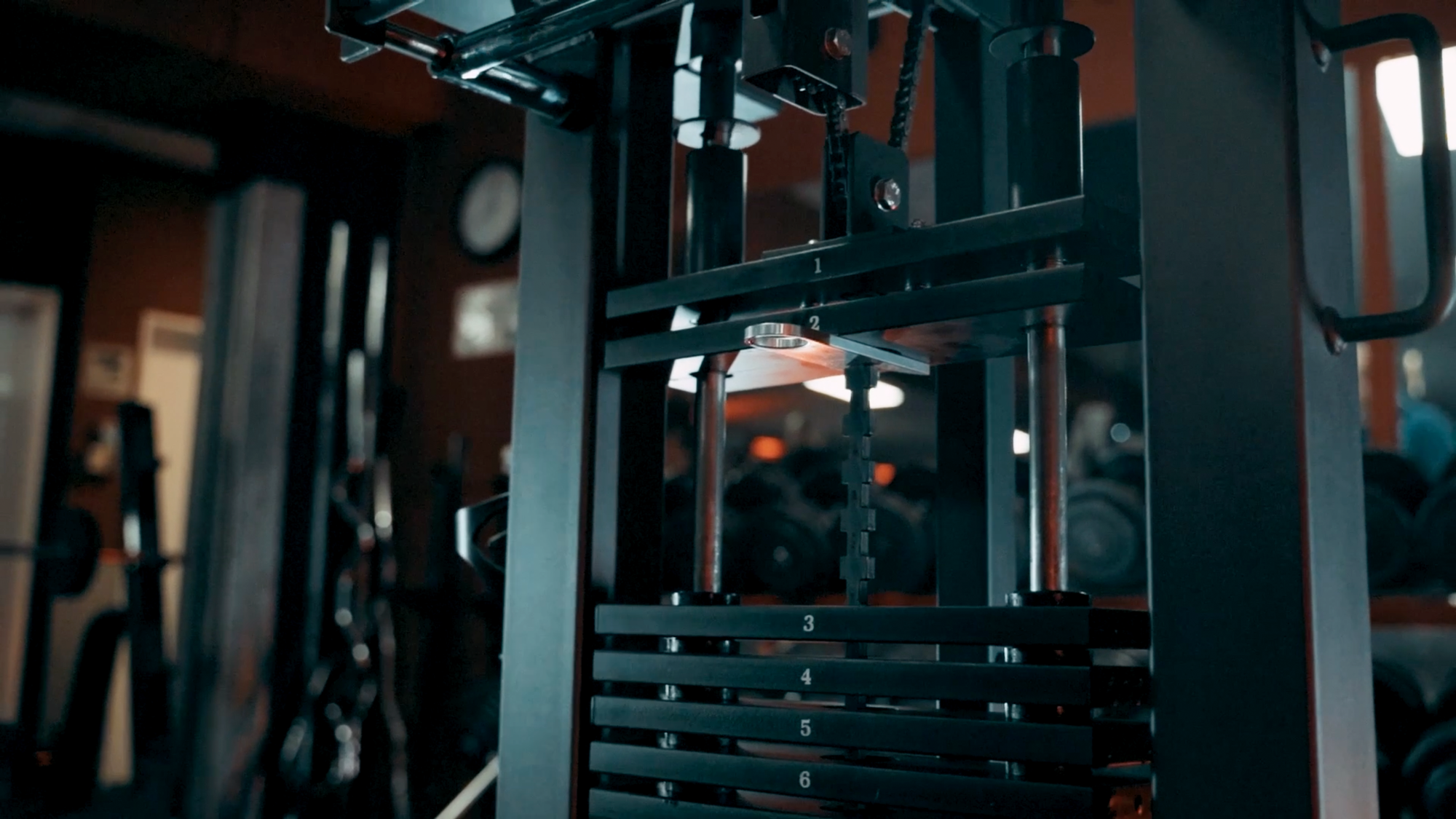 Der Gripper – Eine Innovation im Unterarm Training